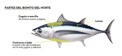 Delicioso cogote de Bonito del Norte, una conserva única - La Cocina de ...